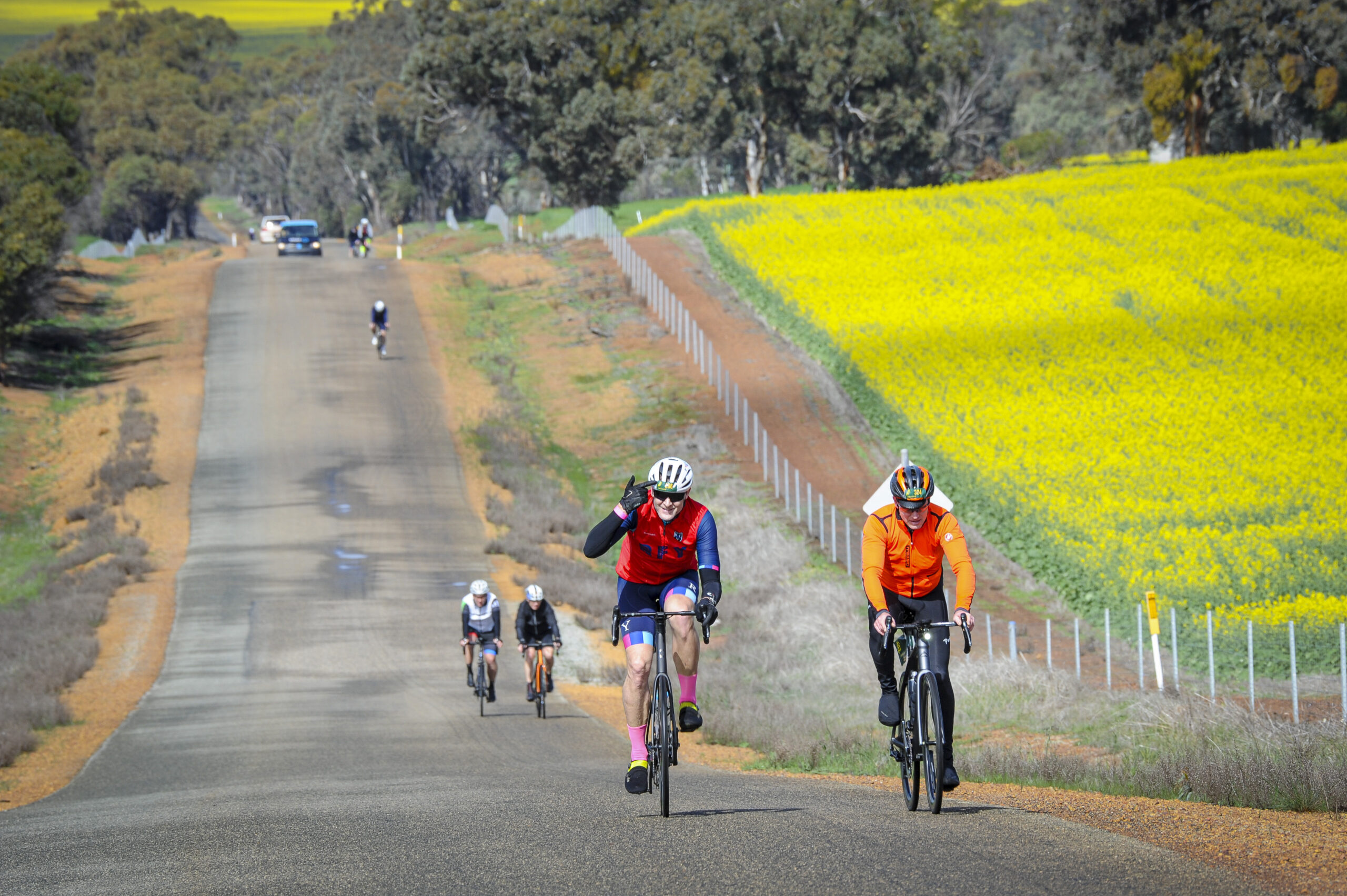 Canola Classic - WestCycle